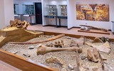 Cosa vedere a Pofi | guida al borgo medievale